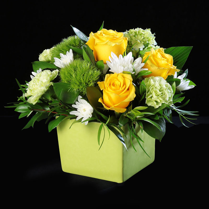 Completely Compact and Contemporary - Flowers London ON | London's ...